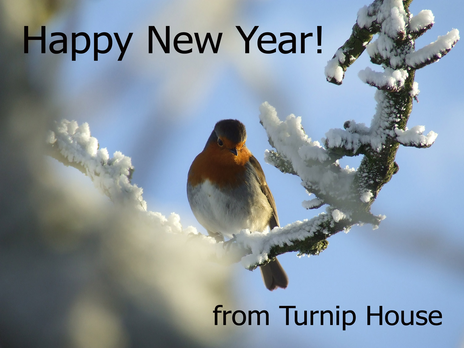 Tea Room & Craft Shop in the Mourne Area of Outstanding Natural Beauty ...