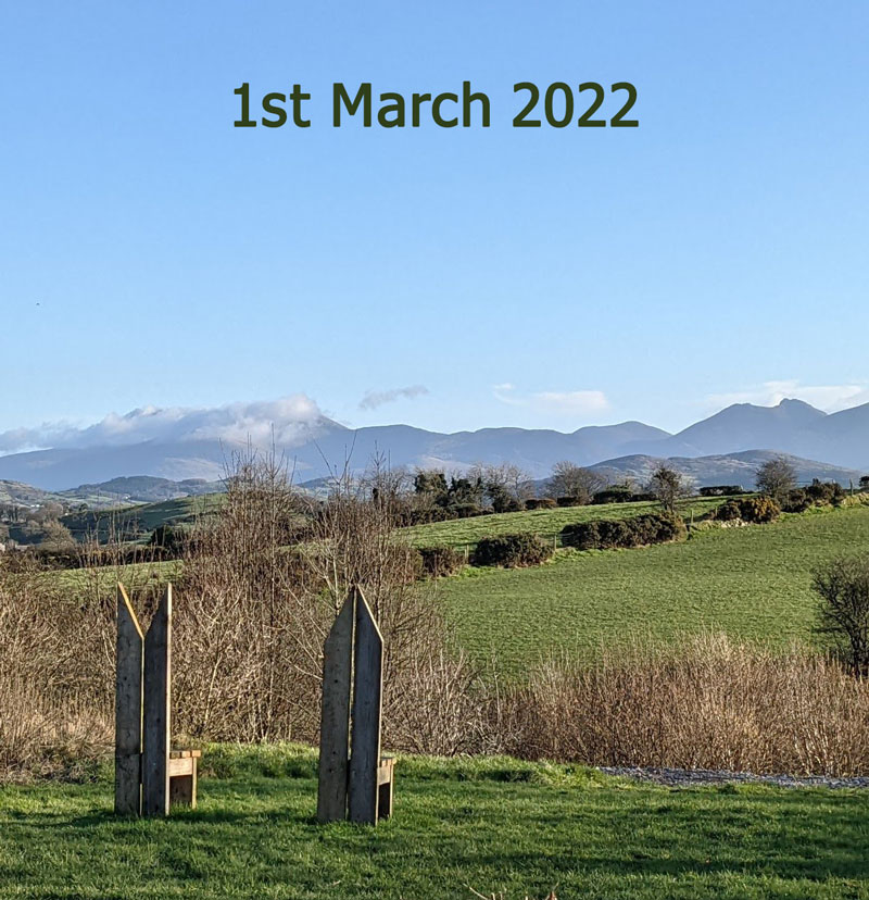 Turnip House Ireland