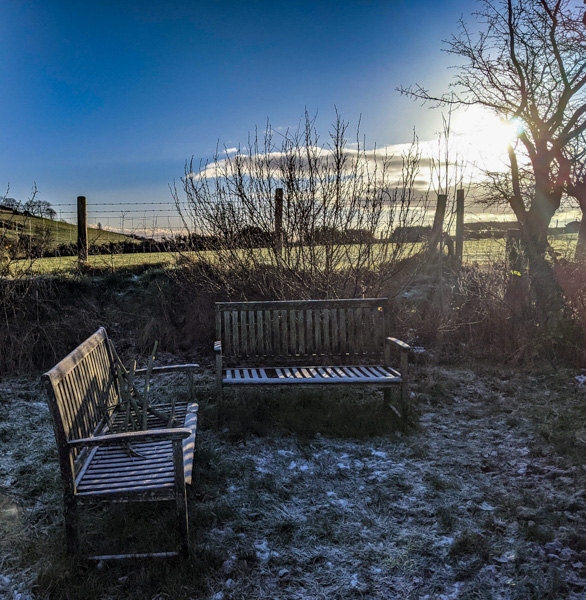 Turnip House Ireland