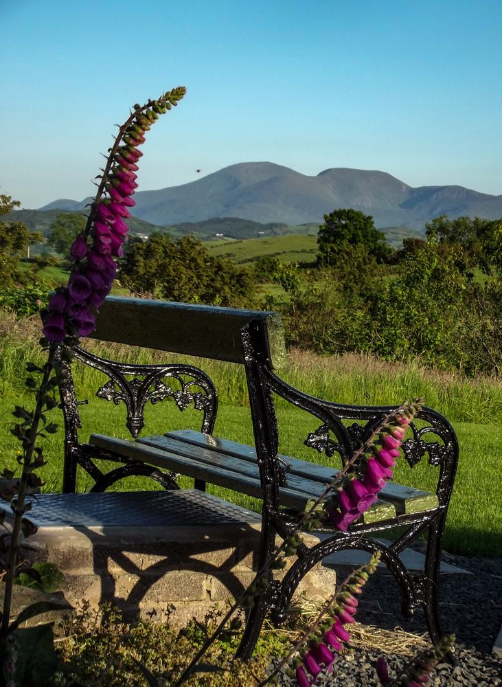 Turnip House Ireland
