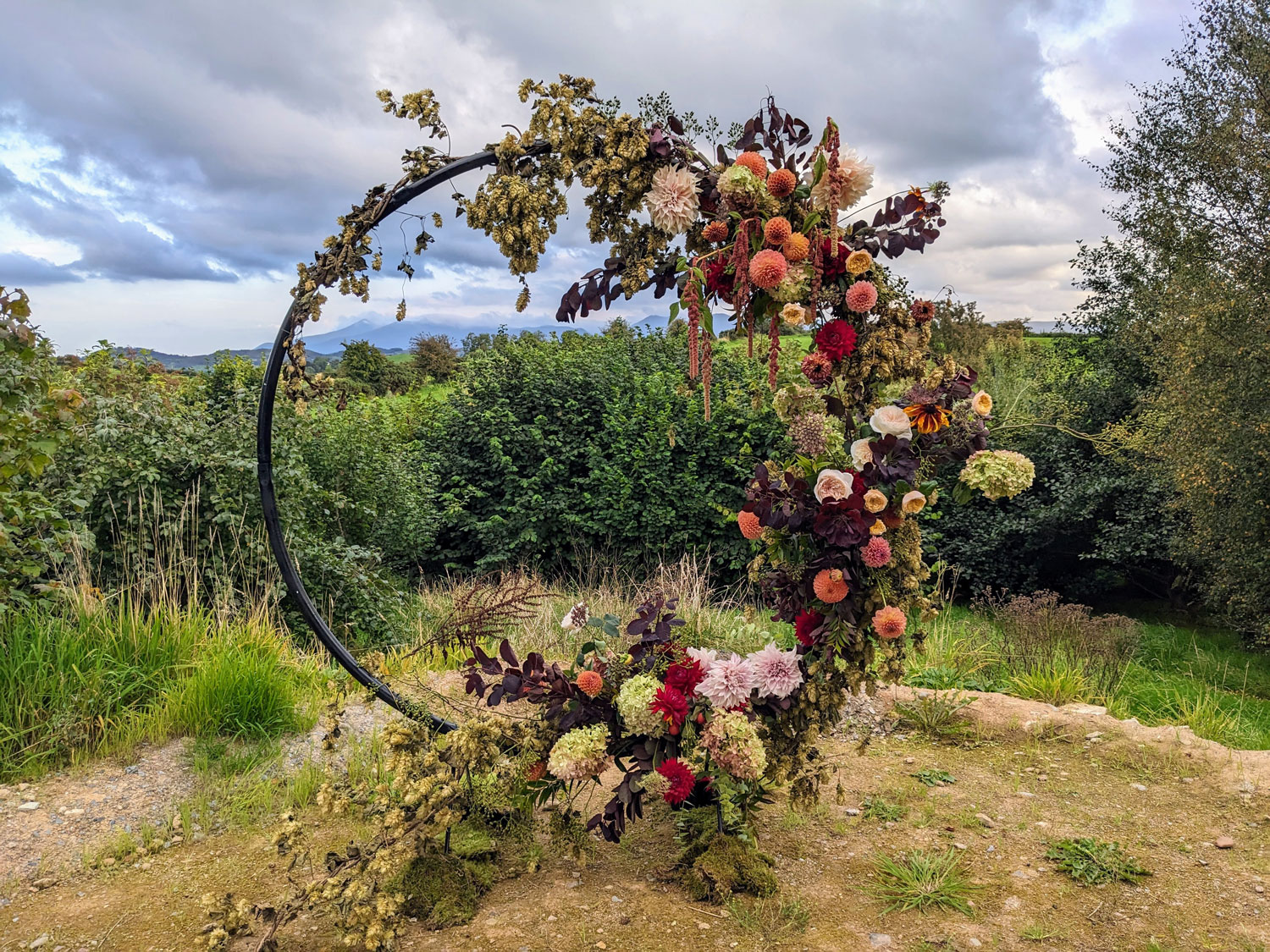 Turnip House Ireland